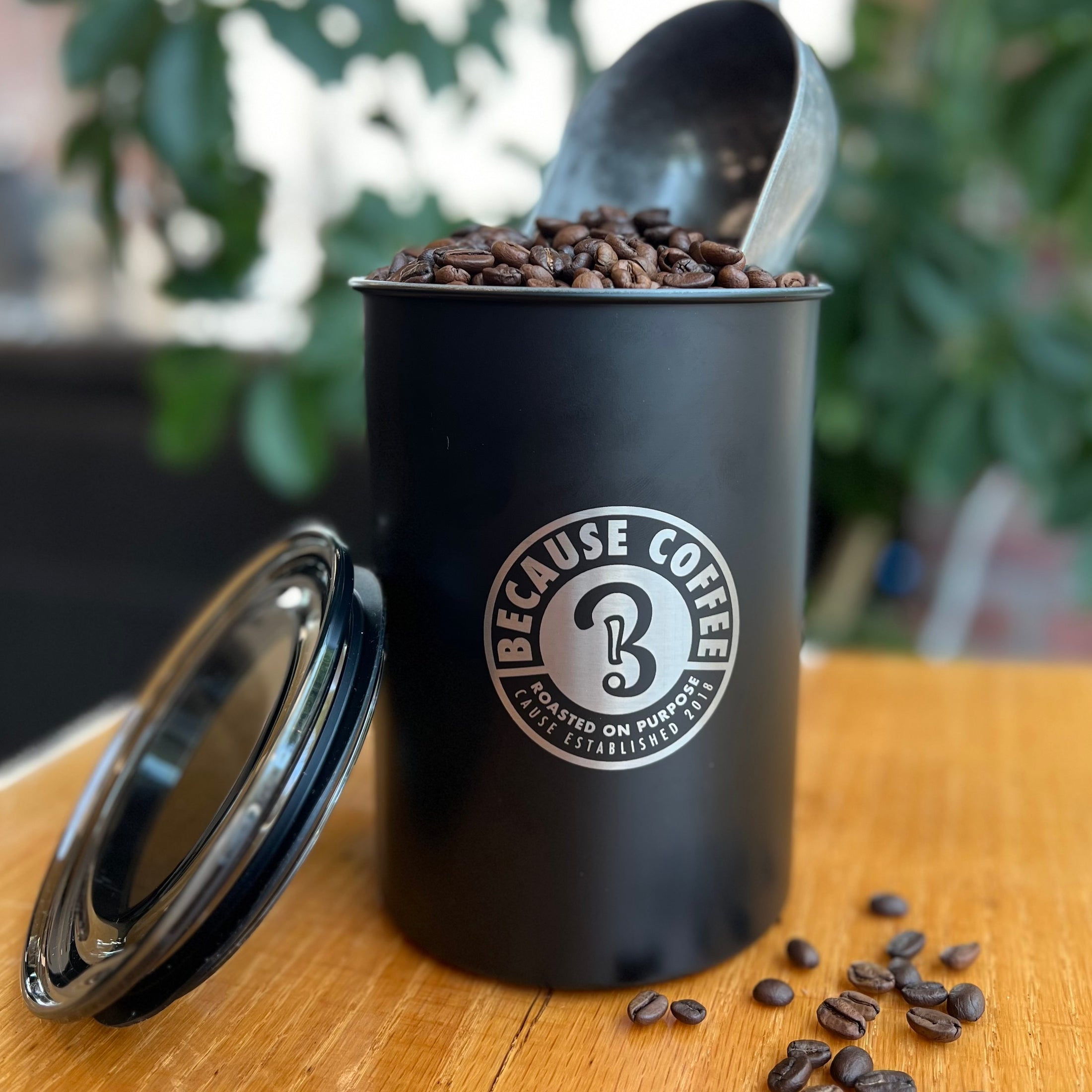 Coffee Roaster | Coffee Shop – Because Coffee