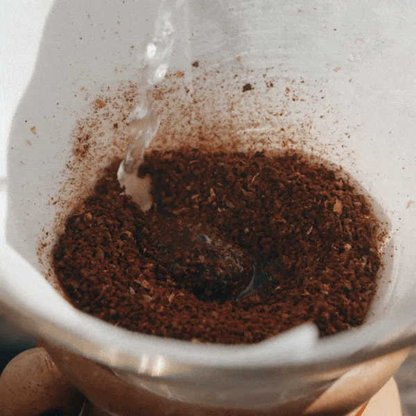 Coffee Roaster | Coffee Shop – Because Coffee
